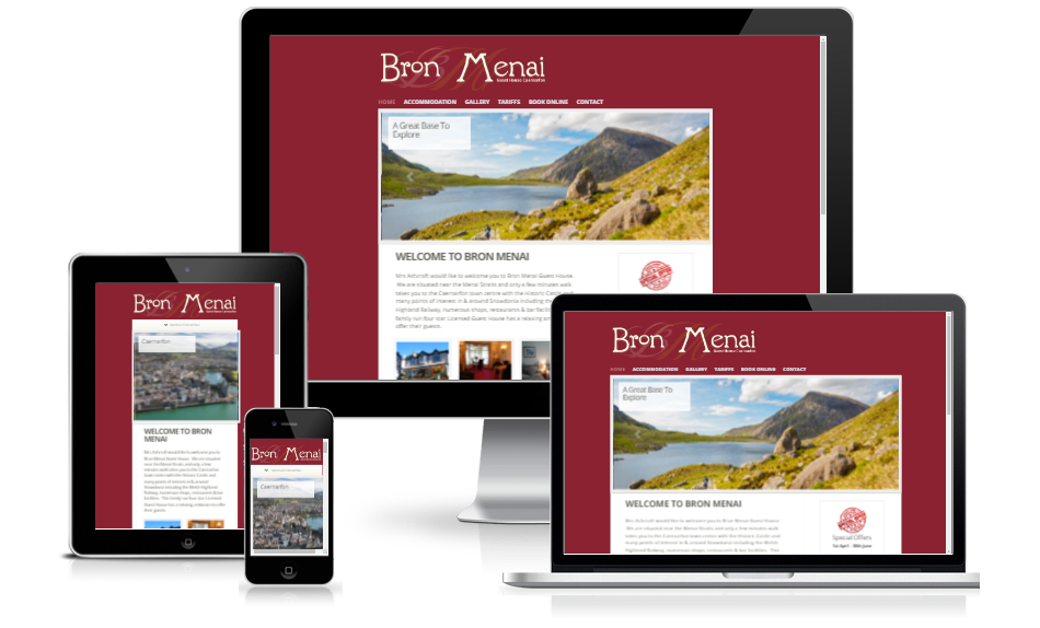 High Quality Professional Website Design-Booking Boosters